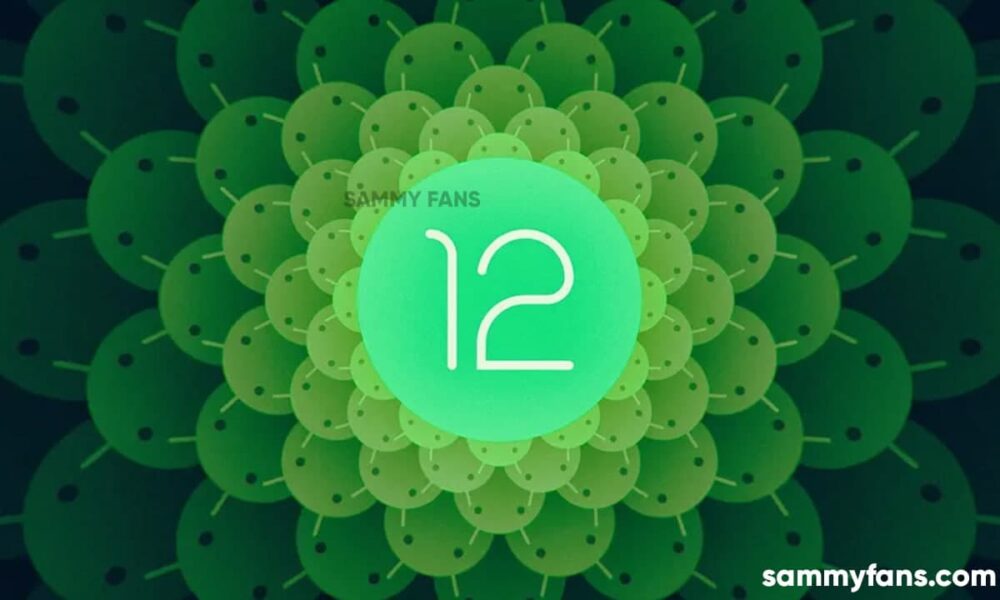 Download Android 12 Beta GSI for any Android device with Project Treble ...