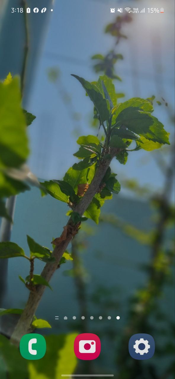 Here's how to save contacts on your Samsung device