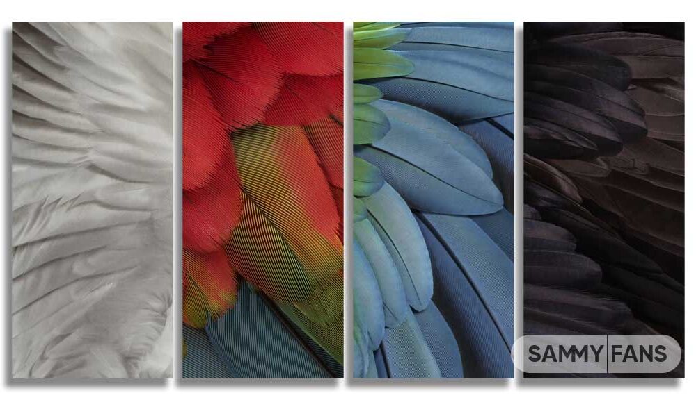 Download Google Pixel 7a Stock Wallpapers - Sammy Fans